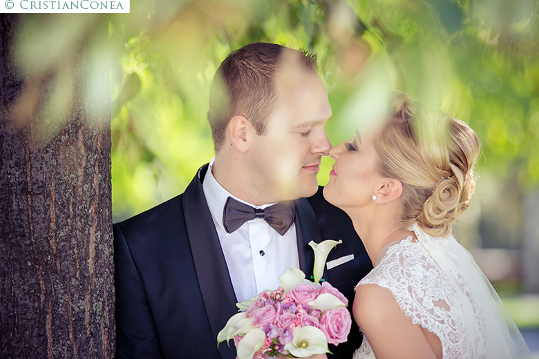 Fotografii nunta ~ Laura & Daniel